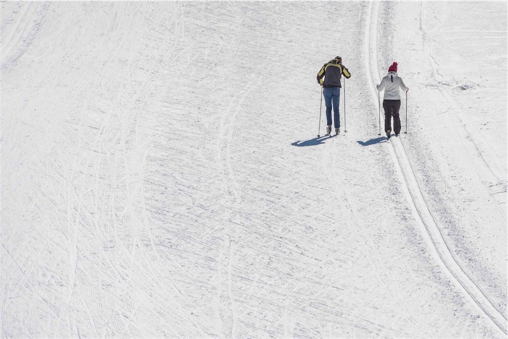 Centro Sci Fondo Viote Monte Bondone | Piste sci da fondo - Asis