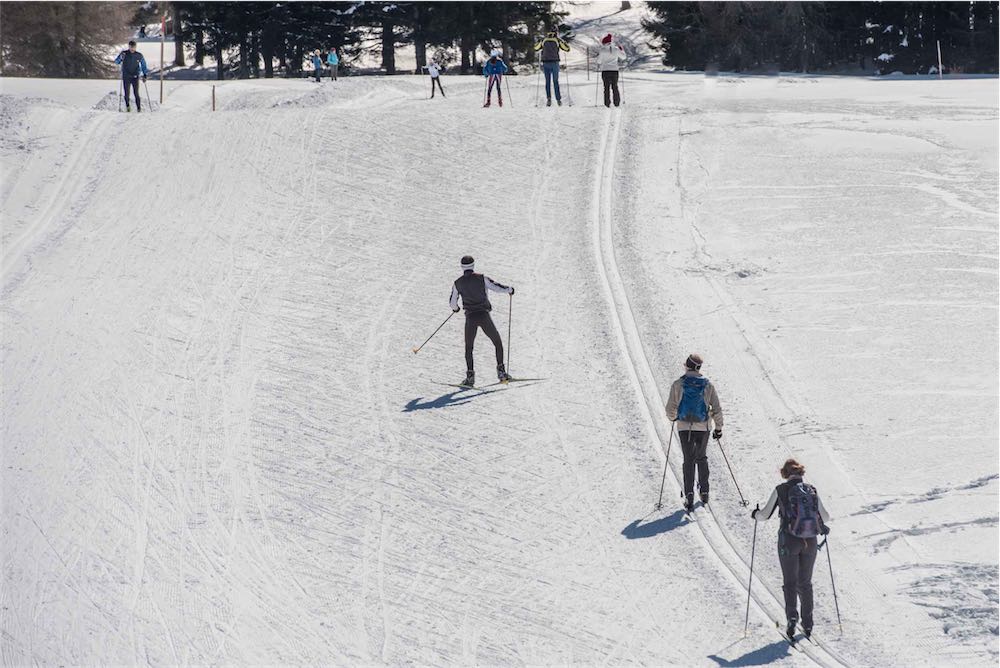 Centro Sci Fondo Viote Monte Bondone | Piste sci da fondo - Asis