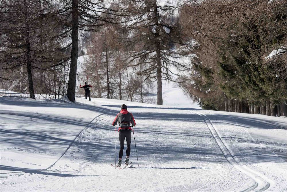 Centro Sci Fondo Viote Monte Bondone | Piste sci da fondo - Asis