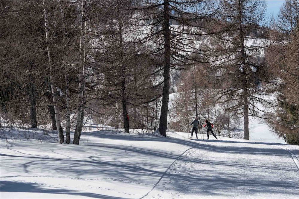 Centro Sci Fondo Viote Monte Bondone | Piste sci da fondo - Asis