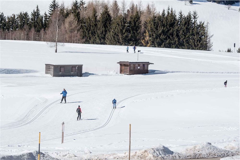 Centro Sci Fondo Viote Monte Bondone | Piste sci da fondo - Asis