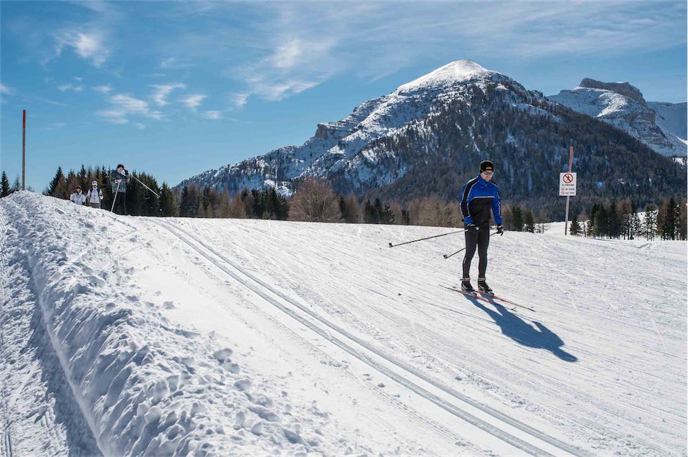 Centro Sci Fondo Viote Monte Bondone | Piste sci da fondo - Asis
