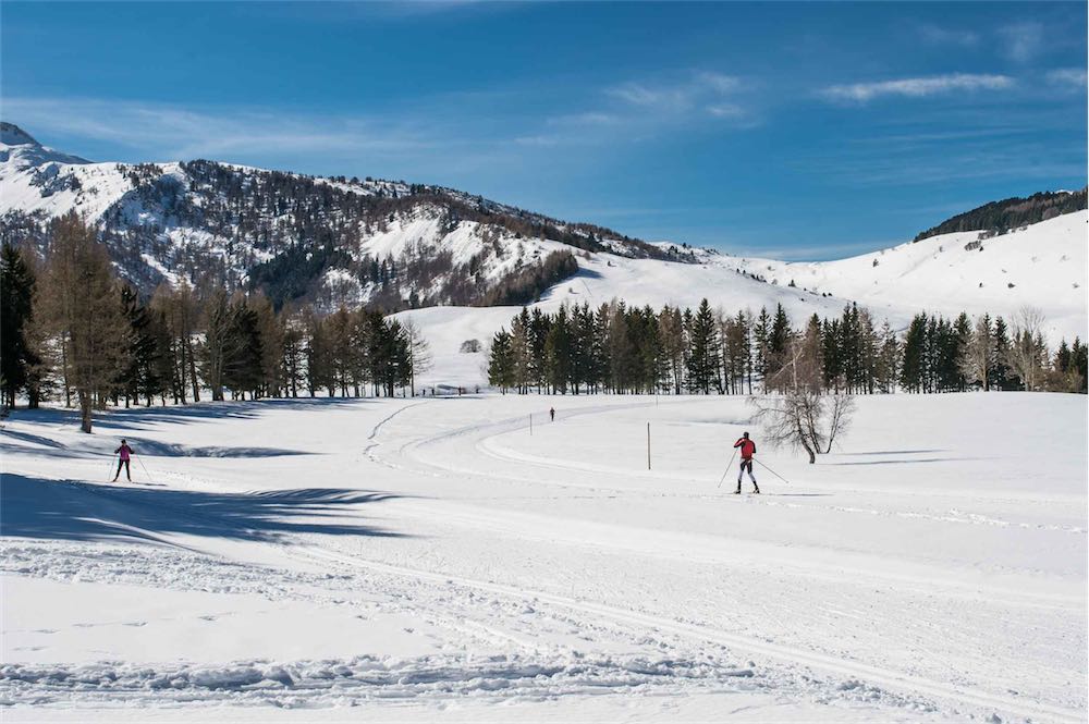Centro Sci Fondo Viote Monte Bondone | Piste sci da fondo - Asis